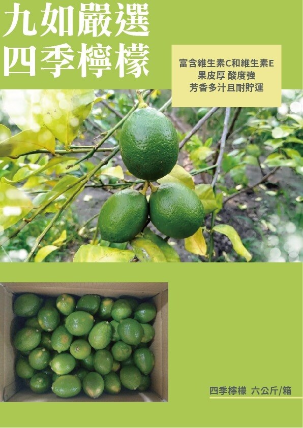 Green Lemon | Taiwantrade