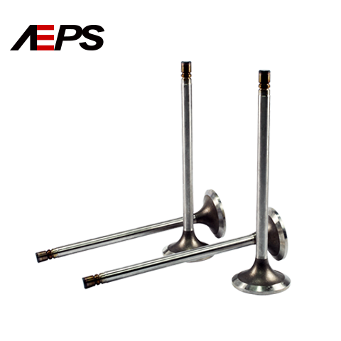 S6N Exhaust Valve | Taiwantrade