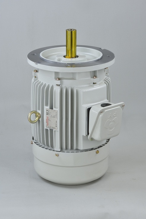 Induction Motor | Taiwantrade