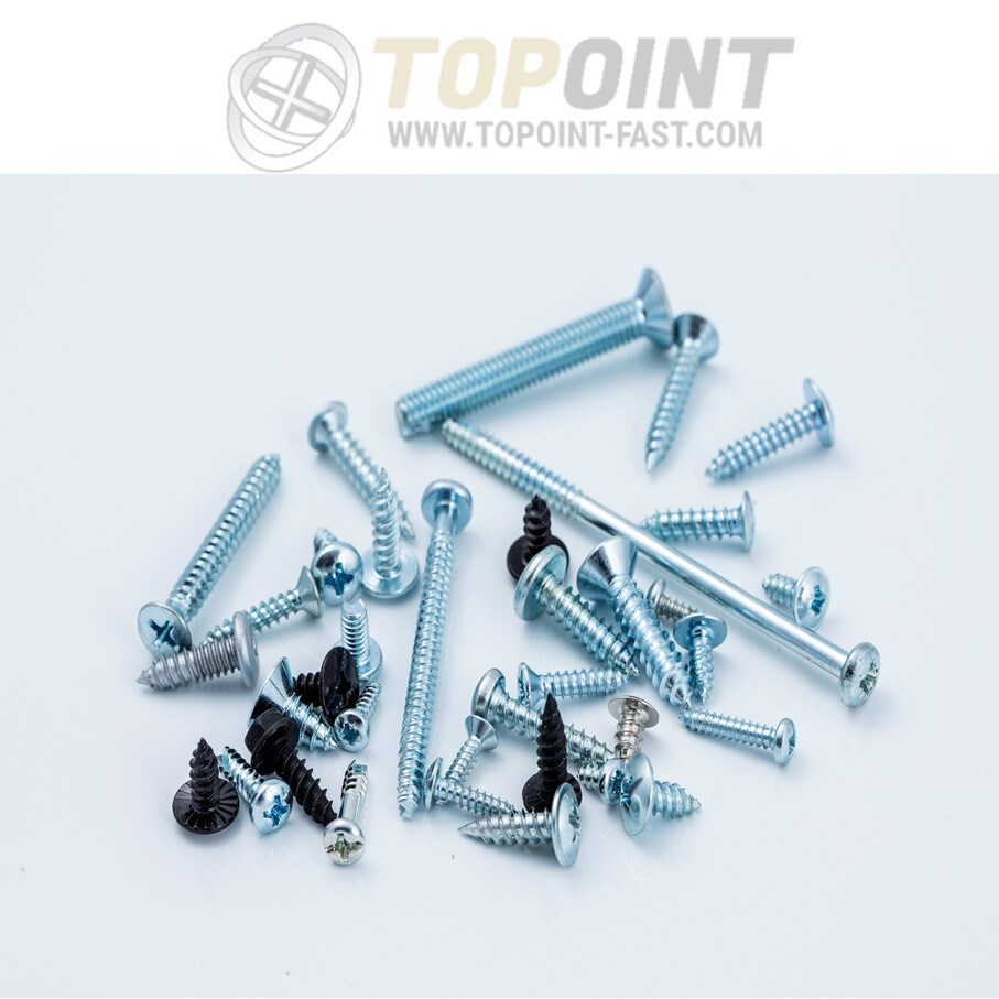 Self Tapping Screw/Self Piercing Screw | Taiwantrade