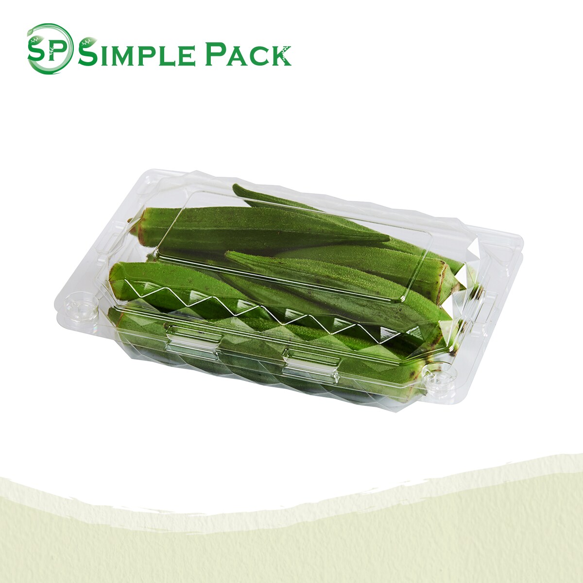 Small Diamond-Cut Plastic Fruit Box with Hinged Lid | Taiwantrade.com