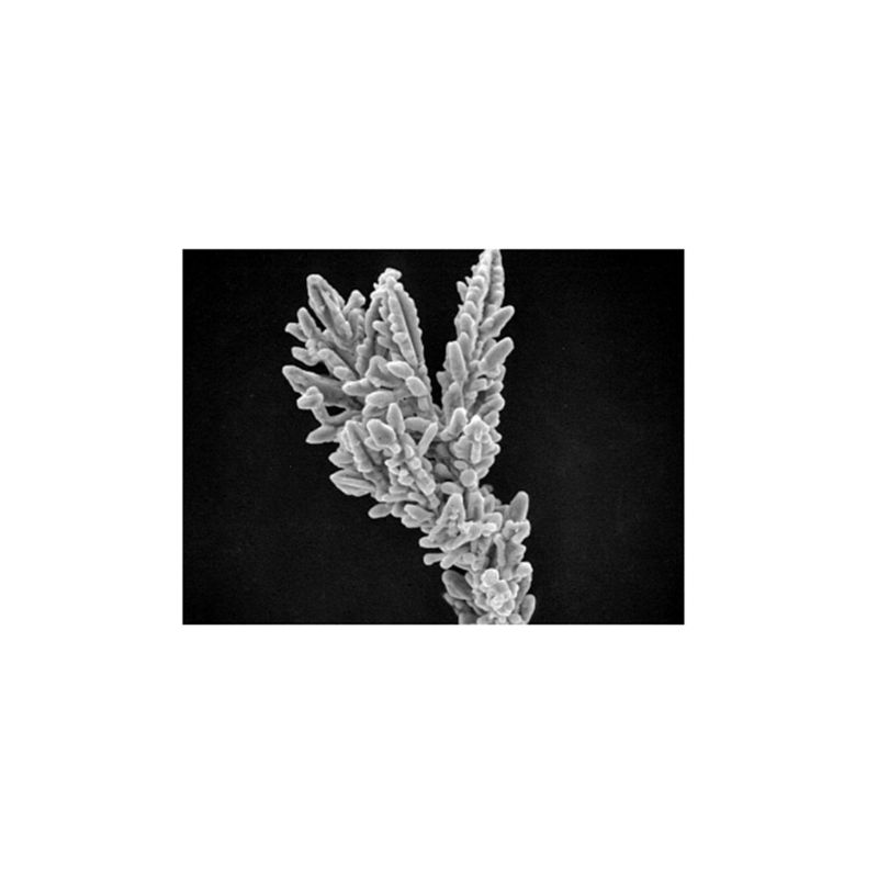 Electrolytic copper powder (for electrical materials) FCC | Taiwantrade