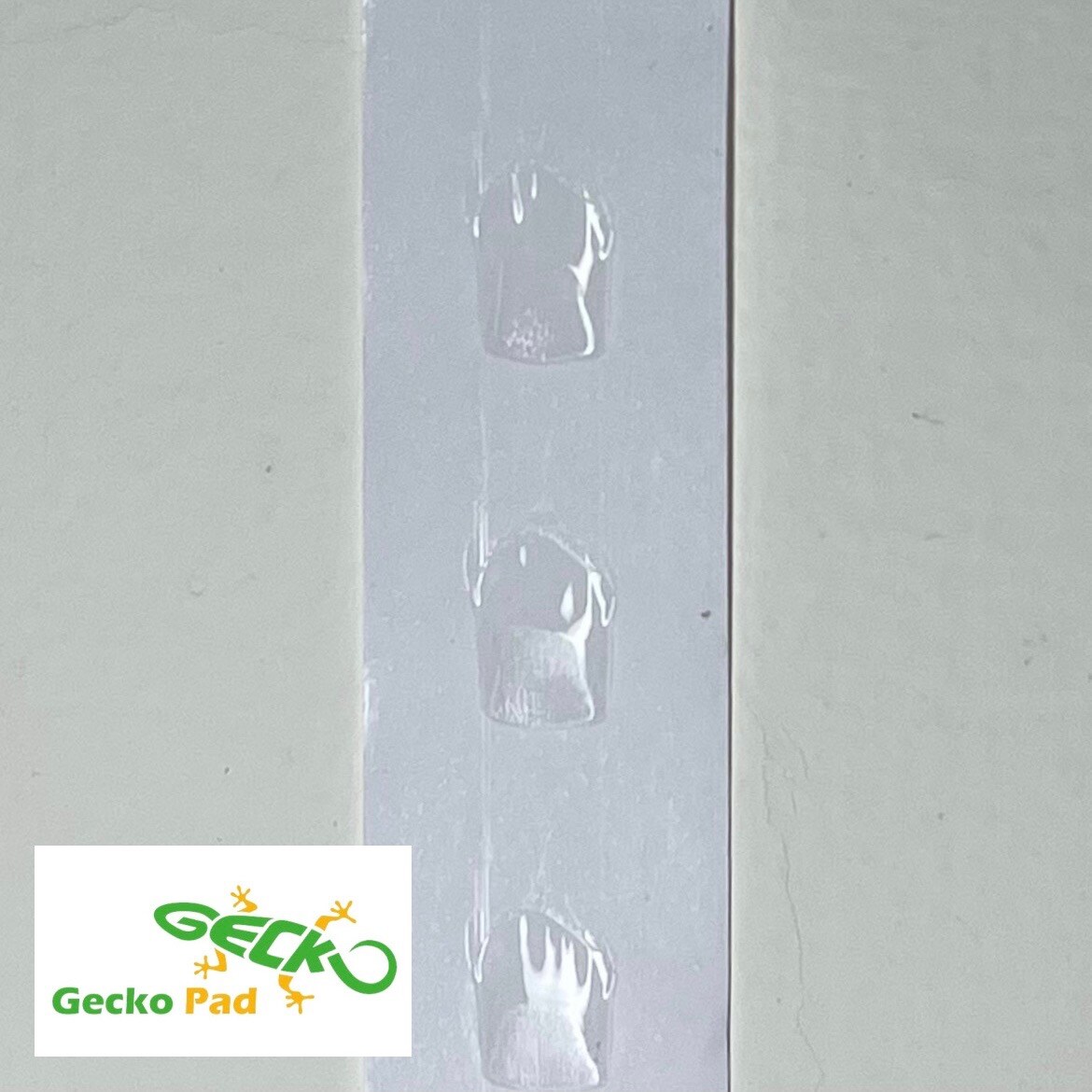 Gecko double-sided movable Glue Dots,Non-toxic(SGS Approved)0.6*0.6cm ...