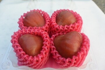 Wax apple 5pcs for supermarket | Taiwantrade