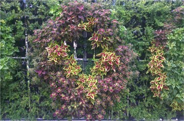 Vertical Garden Ecology Box | Taiwantrade