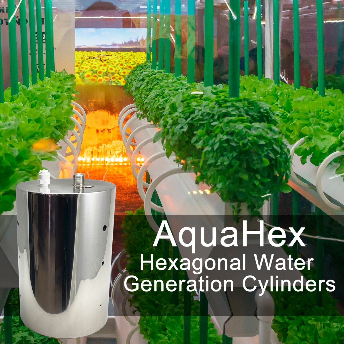 Taiwan Made AquaHex Hexagonal Water Generation Cylinders for Drip ...