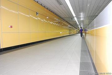 VE panel with high abrasion resistance | Taiwantrade