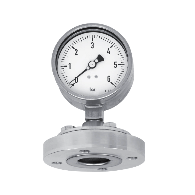 Flanged Process Connection Diaphragm Pressure Gauge (Flush Connection ...
