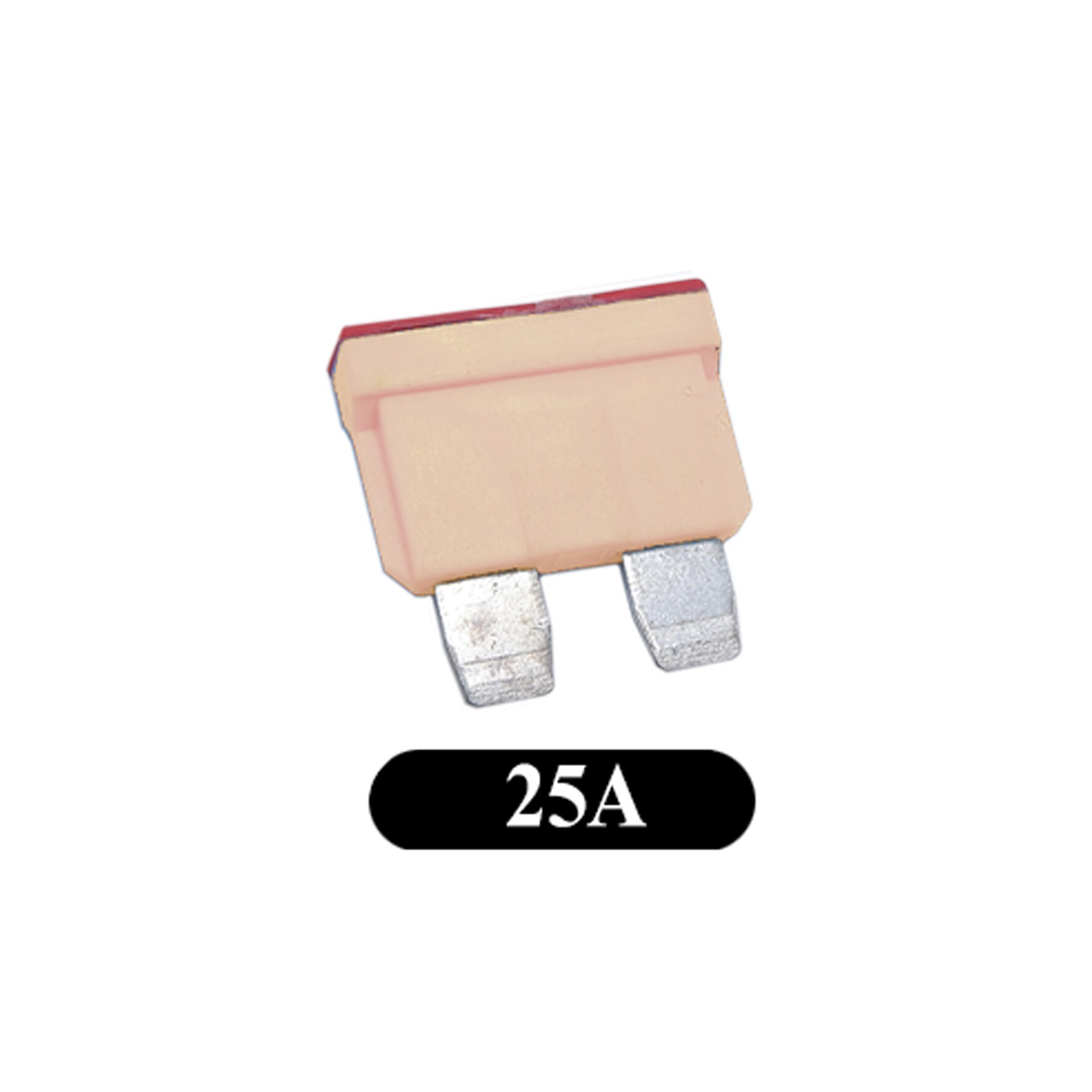 80V Blade Fuse-25A | Taiwantrade