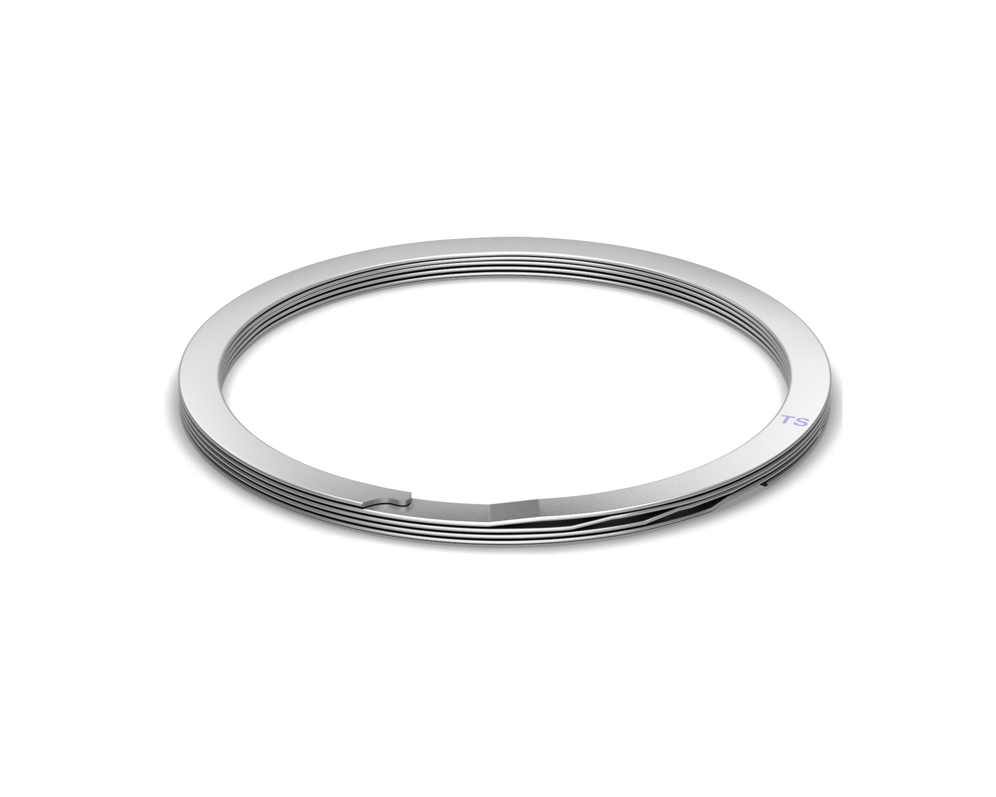 Laminar Seal Retaining Rings | Taiwantrade