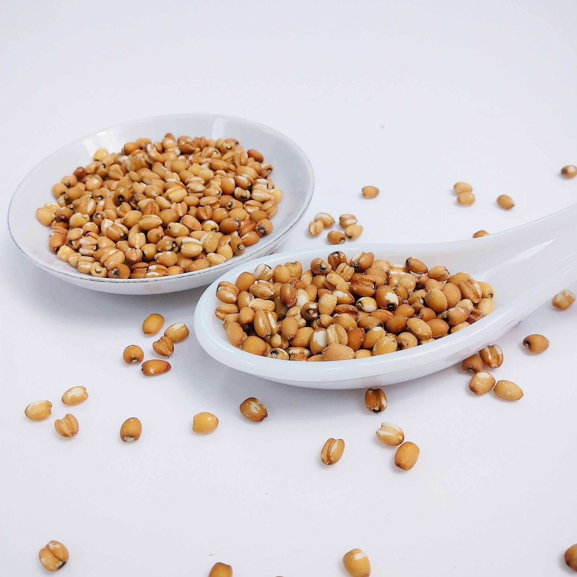 Low Fat Adlay Whole Grain Master Wholesaler | Taiwantrade.com