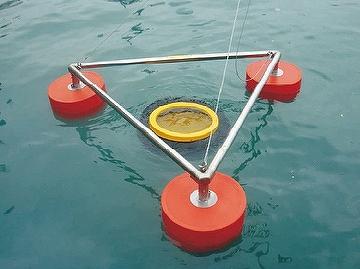 Taiwan Weir Skimmer - Free-floating Skimmer/Designed with Dia:900mm ...