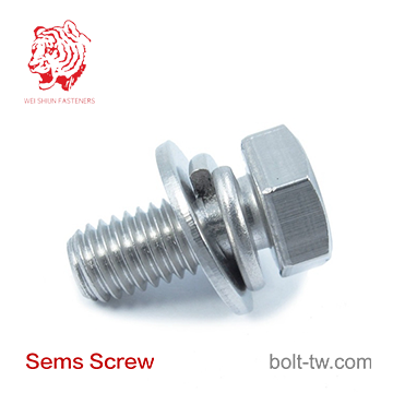 Sems Screw and Bolt with Best Service Assurance-Machine Screw | Taiwantrade