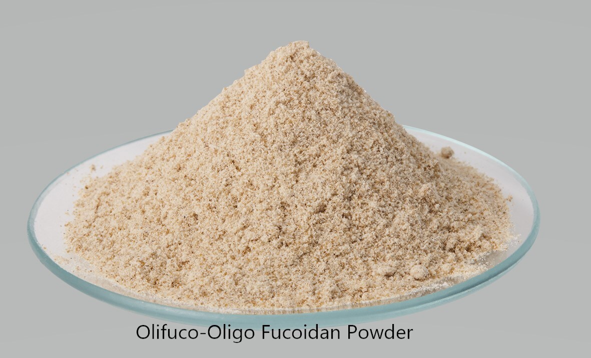 OLIFUCO - Oligo Fucoidan Powder | Taiwantrade