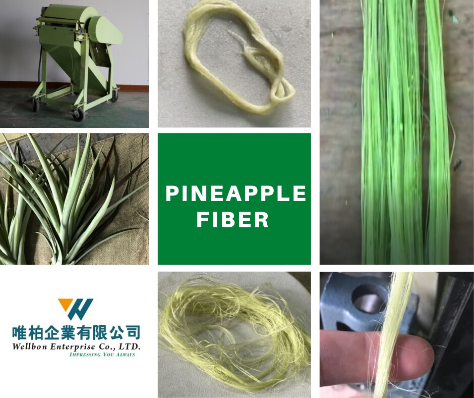 Pineapple fiber decorticator | Taiwantrade