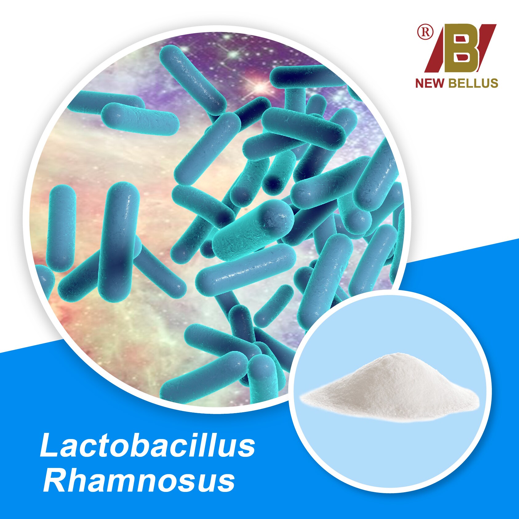 Lactobacillus Rhamnosus | Taiwantrade