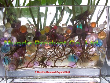 Water gel - Pearl Shape (Water Soil) for indoor planting | Taiwantrade