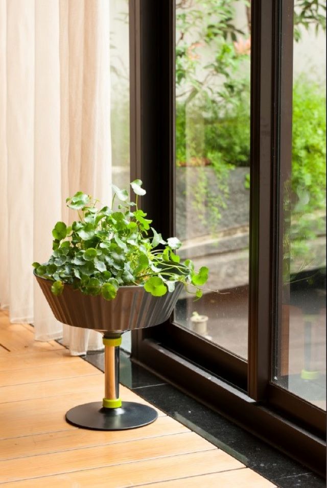 Multi-succulent Mini Pot Holder & Bowl Stand | Taiwantrade