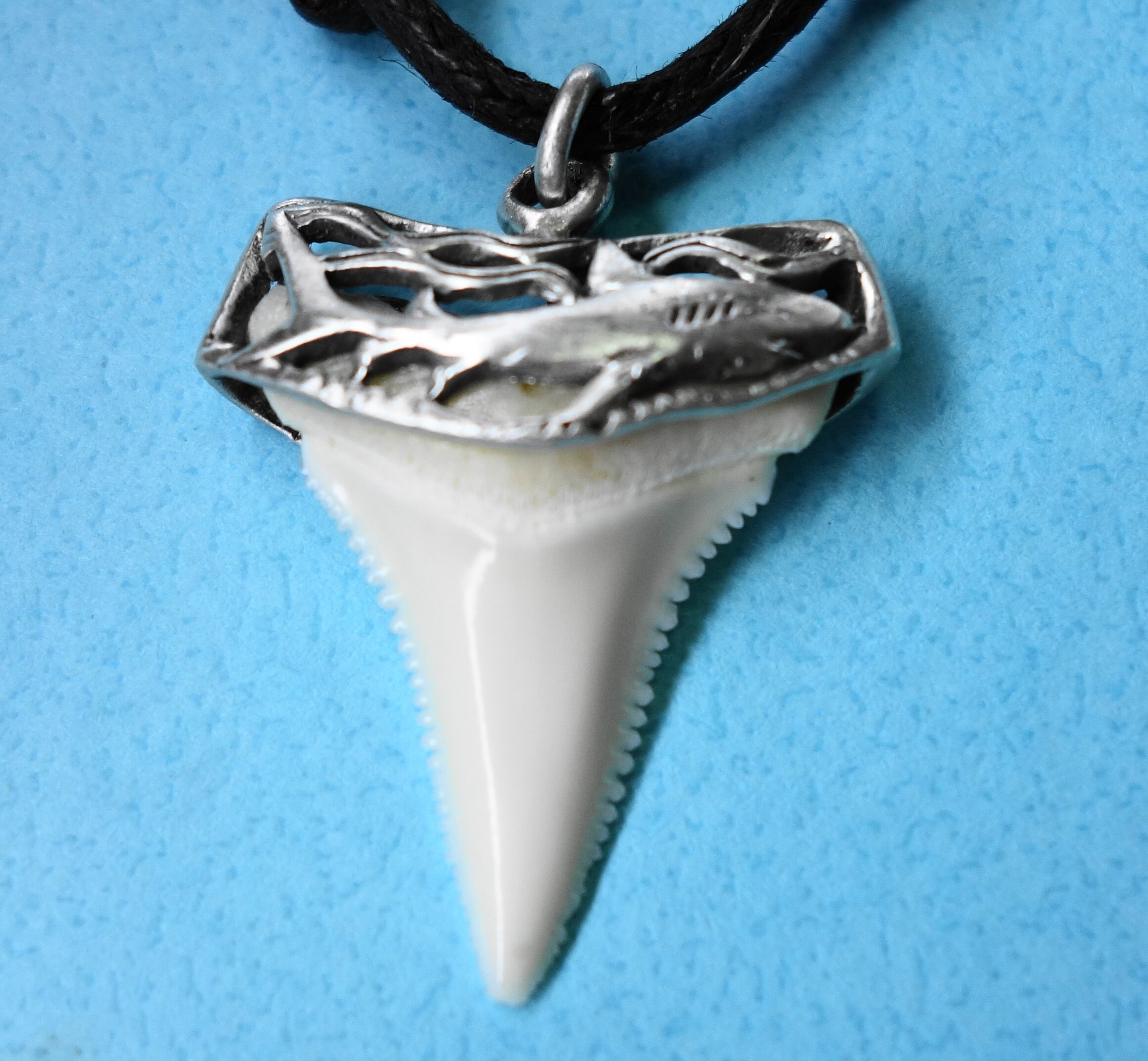 Silver Capped Great White Shark Tooth Necklace Pendant Silverware ...