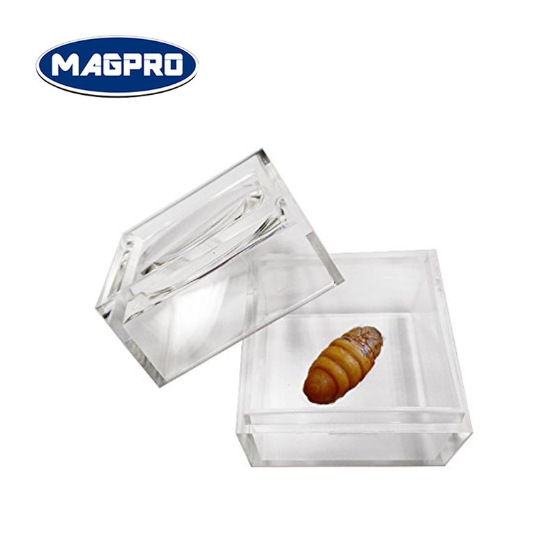 Small Plastic Bug Box Magnifying Glass | Taiwantrade