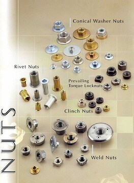 Special Nuts | Taiwantrade