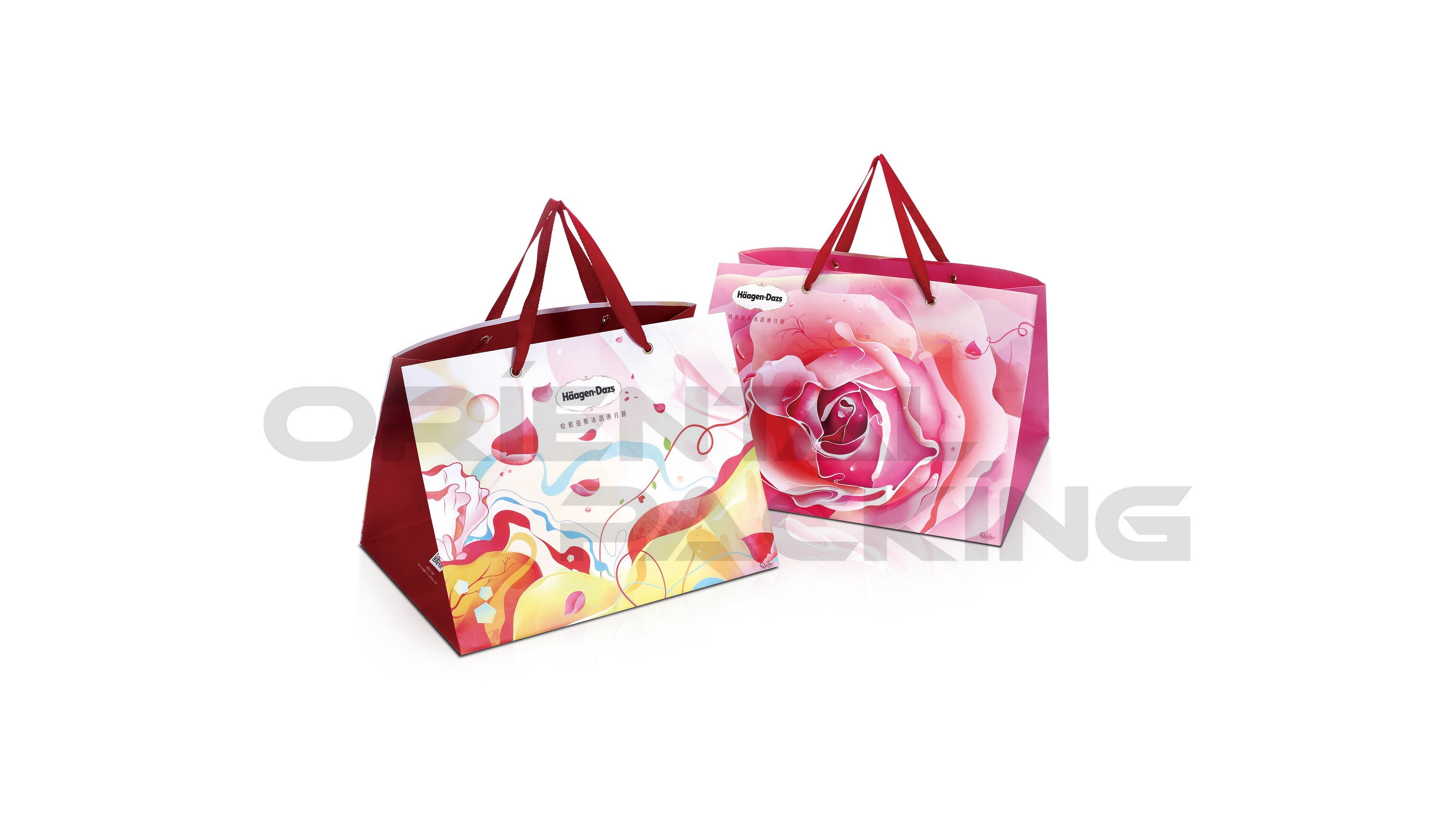 Haagen dazs paper bag | Taiwantrade