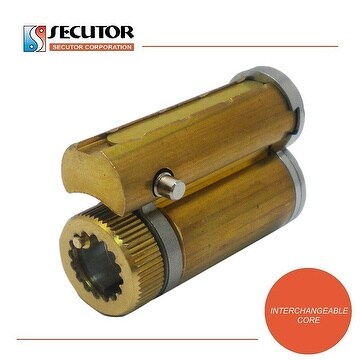 Schlage LFIC Large Format Interchangeable Core Cylinder | SECUTOR ...