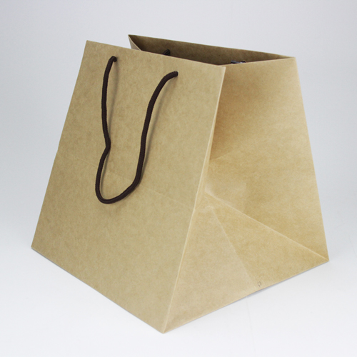 Hottest Printing Customized High Quality Paper Bag with Rope Handle ...