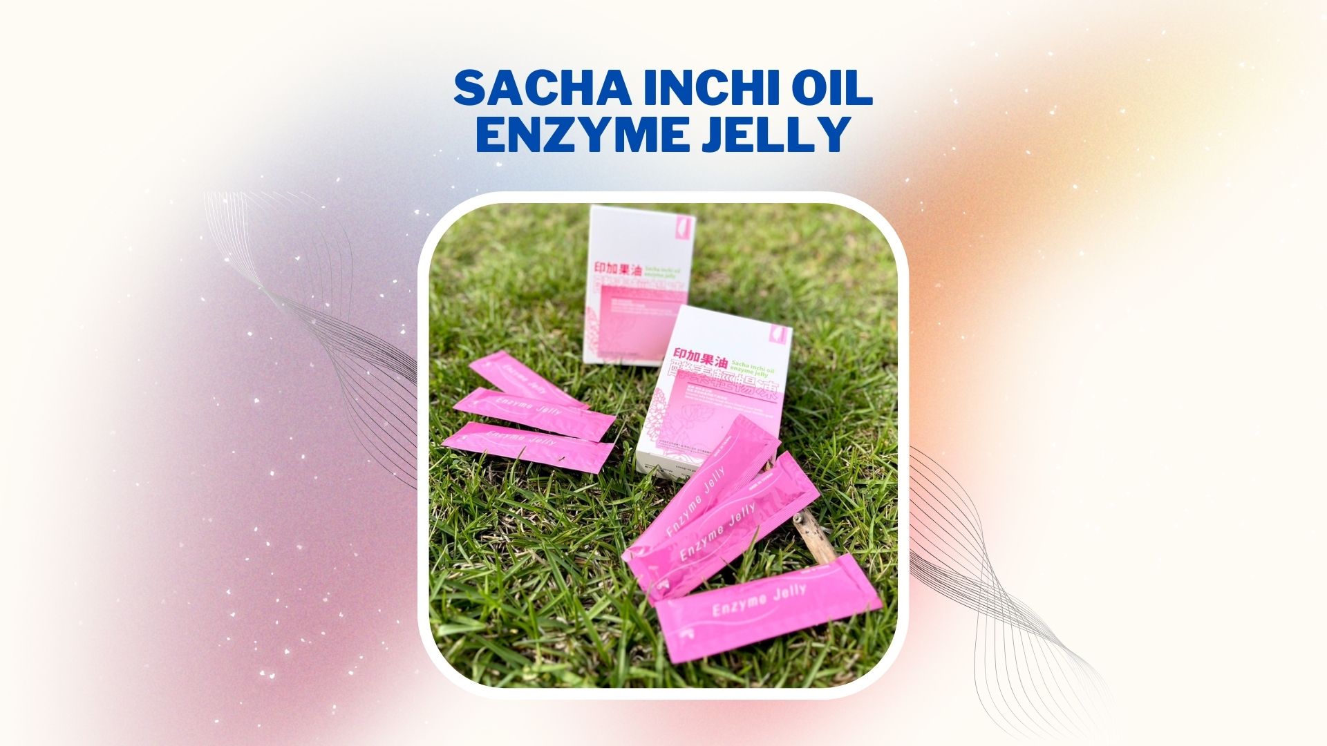 Sacha inchi oil enzyme jelly | Taiwantrade