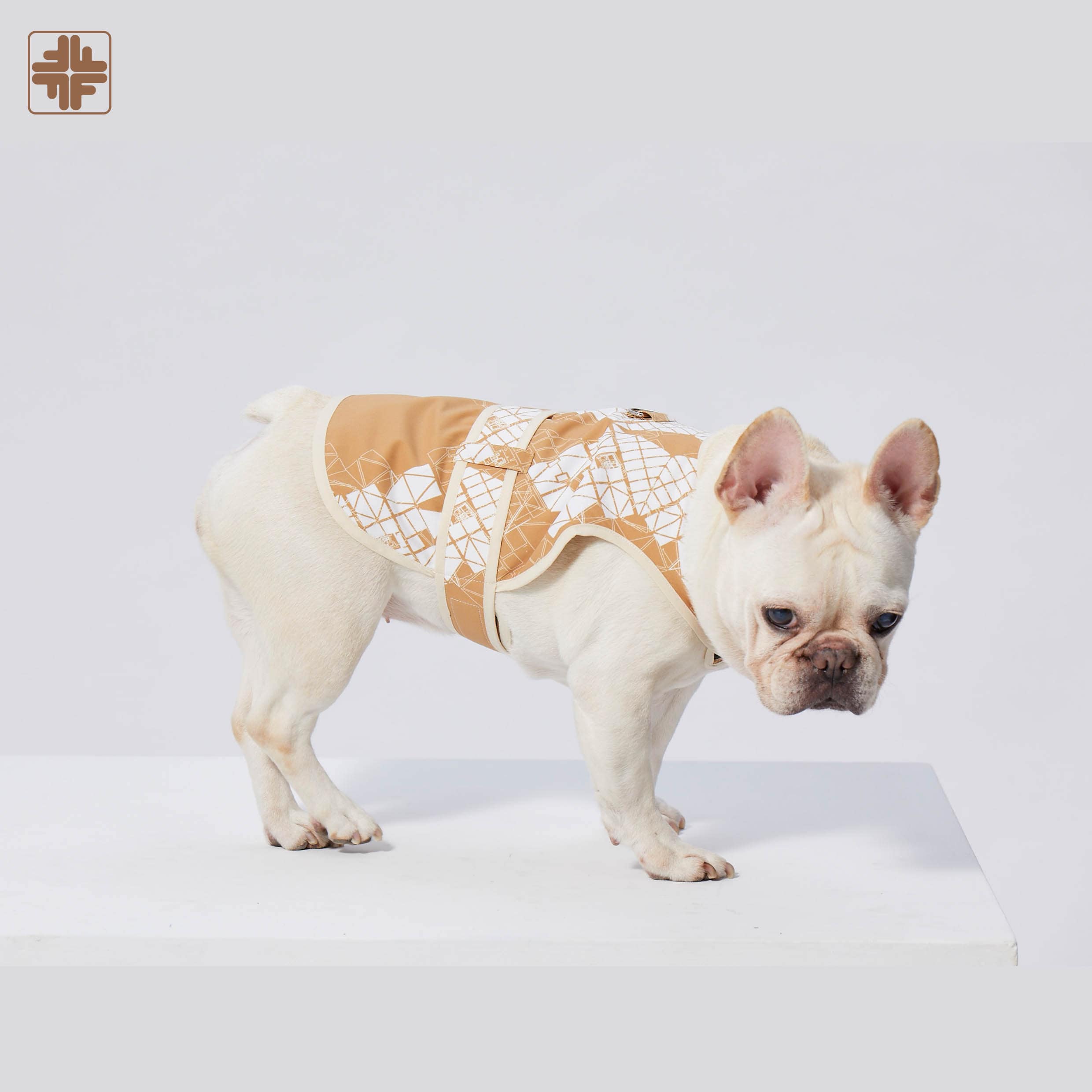 OEM ODM Pets' Digital Printing Totem Harness | Taiwantrade