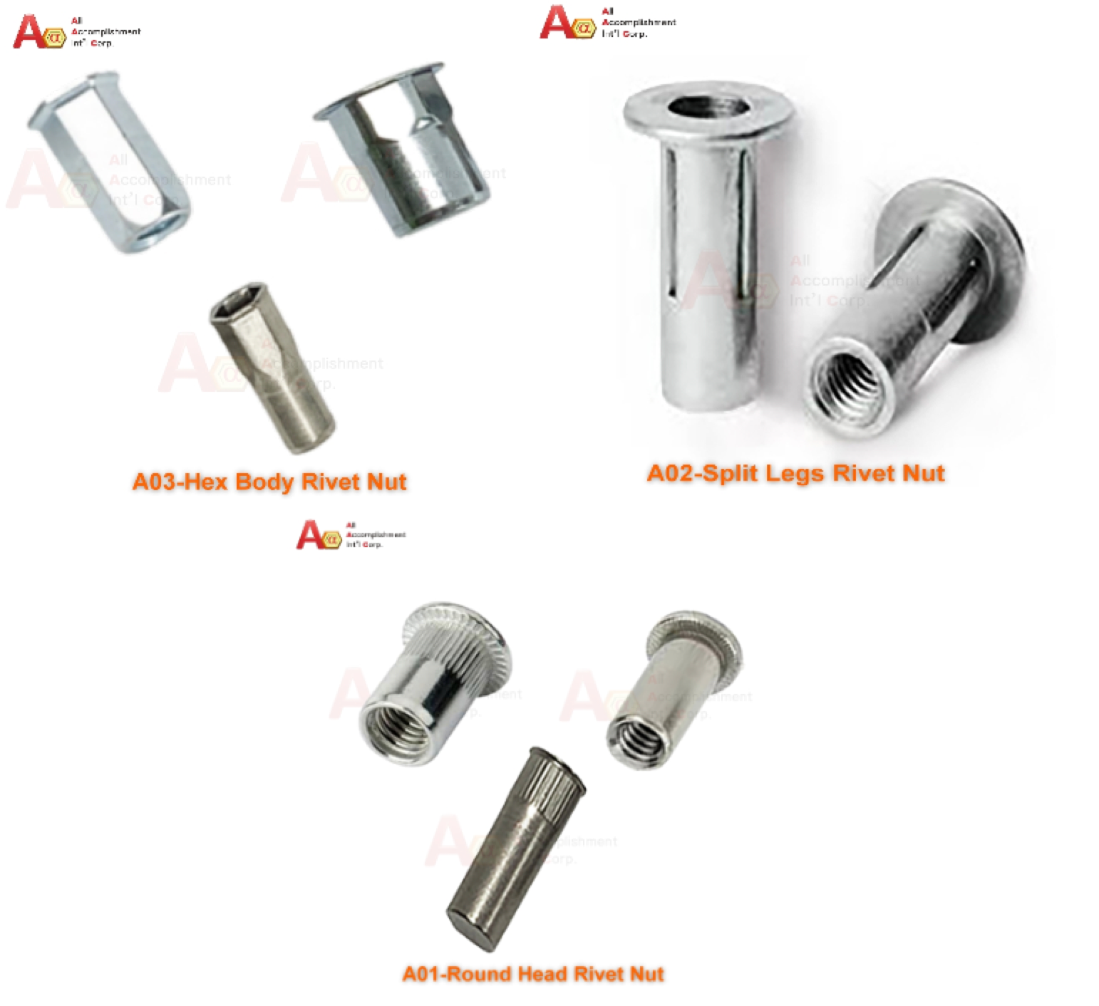 Round Head / Plus / Hex Body Rivet Nut | Taiwantrade