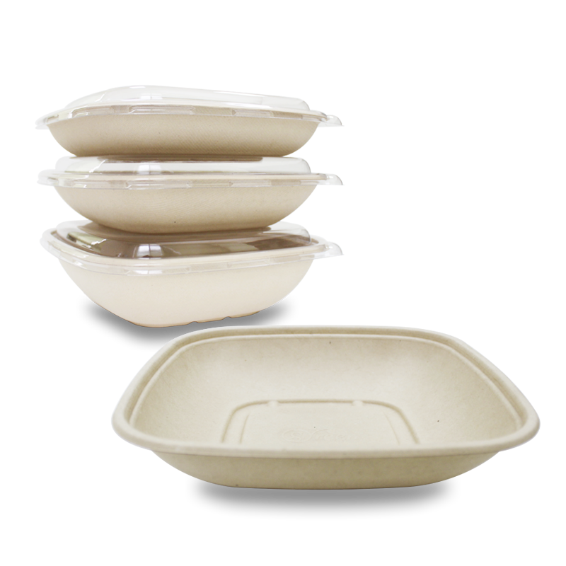 32 oz square sugarcane bagasse pulp food container with lid | Taiwantrade
