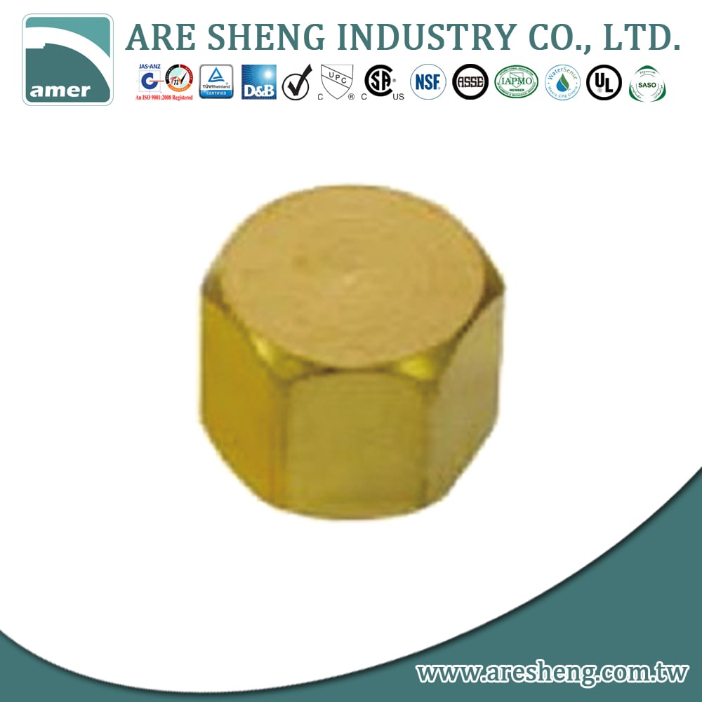 1/2 in. FIP Brass Pipe Cap Fitting | Taiwantrade