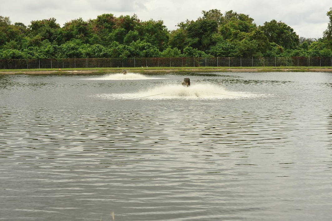 Surface high speed Aerator | Taiwantrade