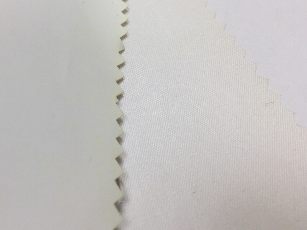 Polyester Cotton with high elastic PVC backed | Taiwantrade