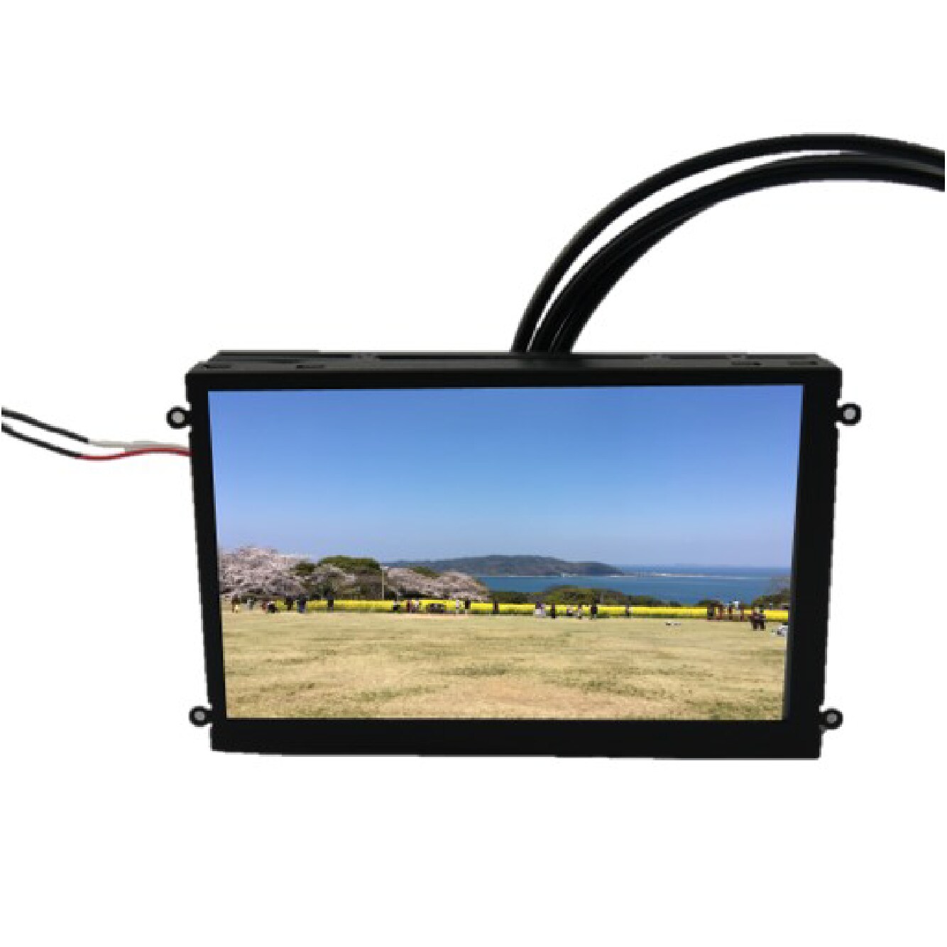 Ultra-Bright Open-Frame Type 7” VGA TFT LCD Touch Module (Optional ...