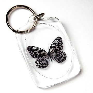 Butterfly Acrylic Keychain | Taiwantrade