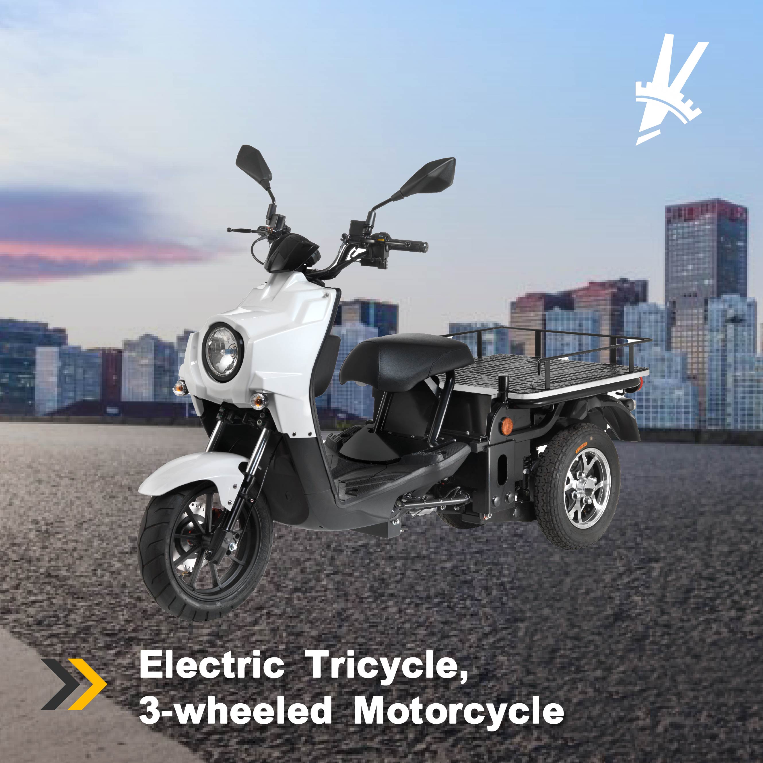 Electric Tricycles, 3-wheeled Motorcycle, Mobility Powered Scooter | LI ...