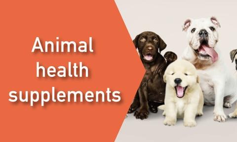 Best Animal health supplement | LI CHENG BIOTECHNOLOGY CO., LTD.