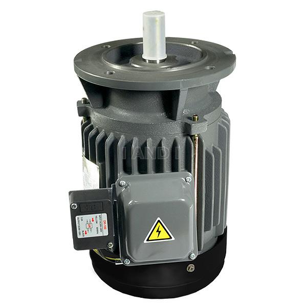 Vertical Brake Motor Induction AC Asynchronous IEC Frame Motor ...