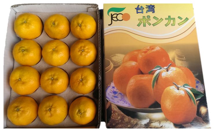 Hot selling juicy fresh Ponkan-3kg-12pcs | Taiwantrade