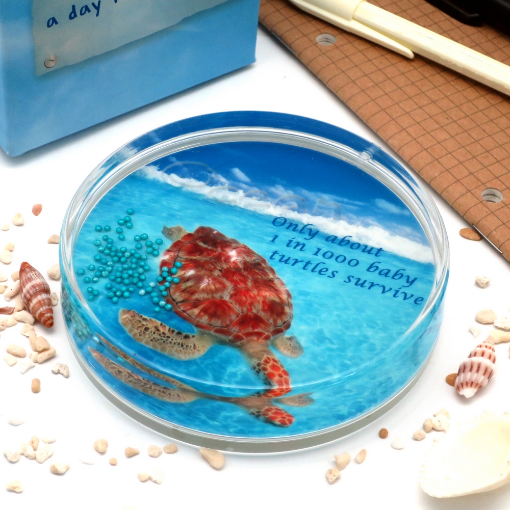 Sea Life Liquid-Filled Acrylic Paperweights | Taiwantrade