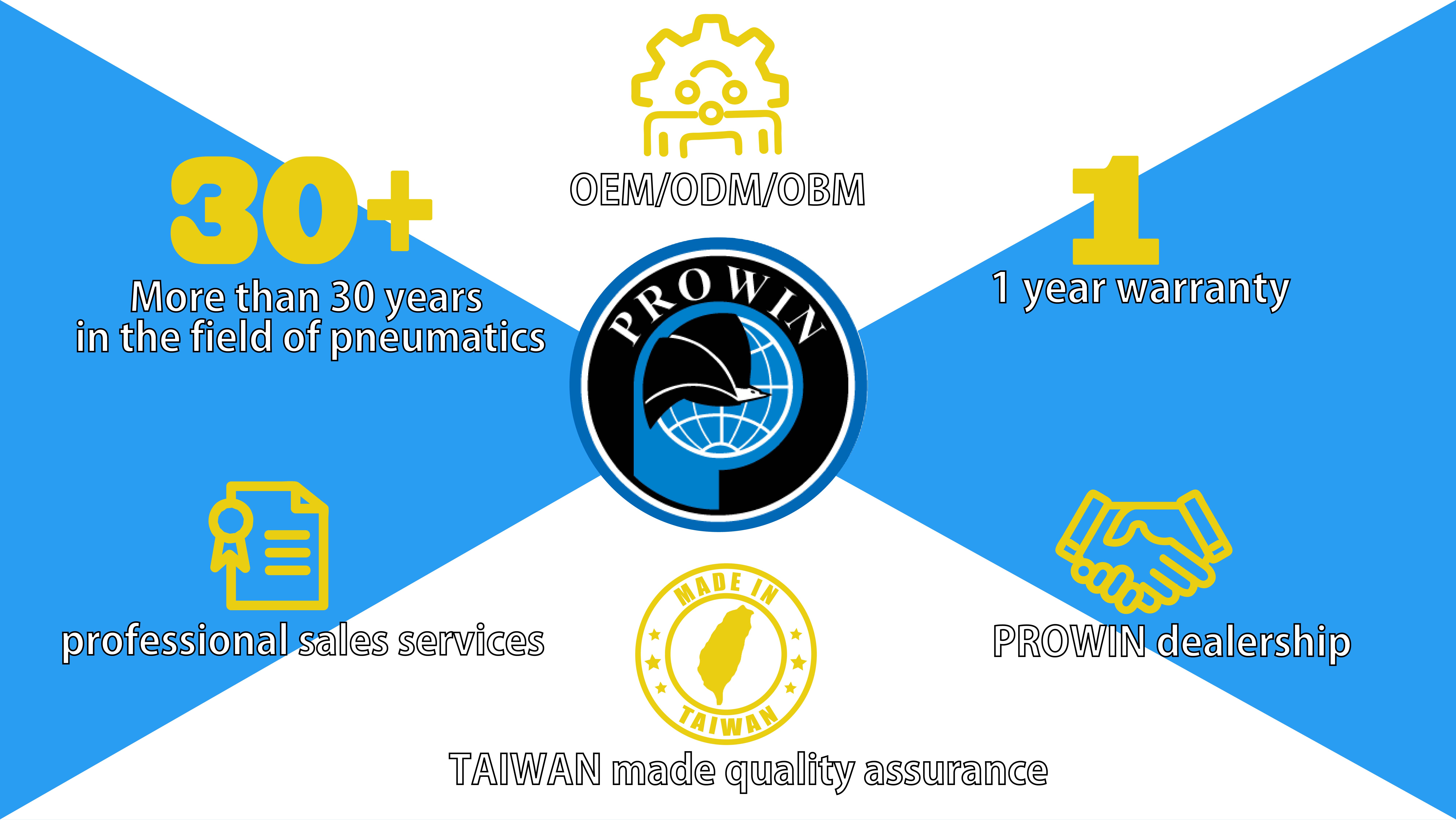 Pneumatic Air Belt Grinder Machine 20mm with Belts | PROWIN TOOLS COMPANY