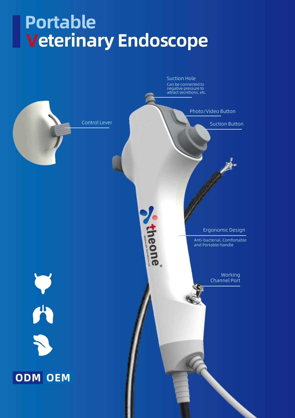 Portable Veterinary Endoscope - Single Use-5.8mm/ Length 650mm ...